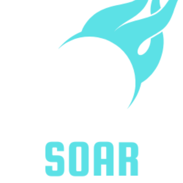 Soar Volleyball | Search for Activities, Events and more
