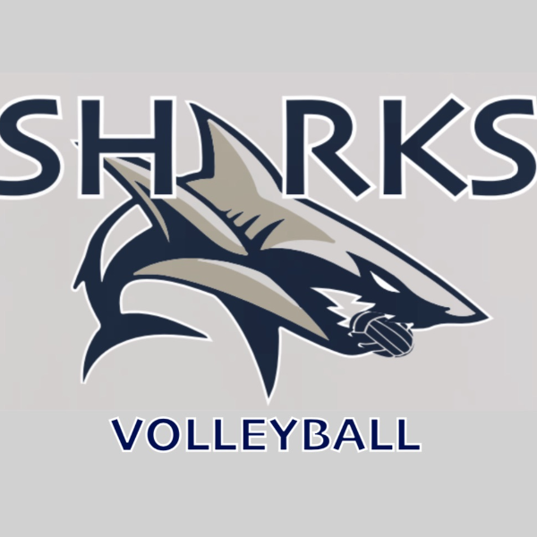 Sharks Volleyball Club | Search for Activities, Events and more