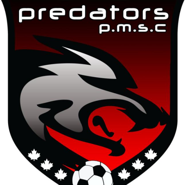 Puslinch Minor Soccer | Search for Activities, Events and more