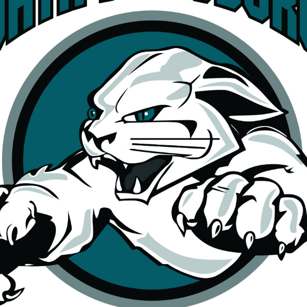 North Pittsburgh Youth Hockey Association Wildcats Summer Skate and ...